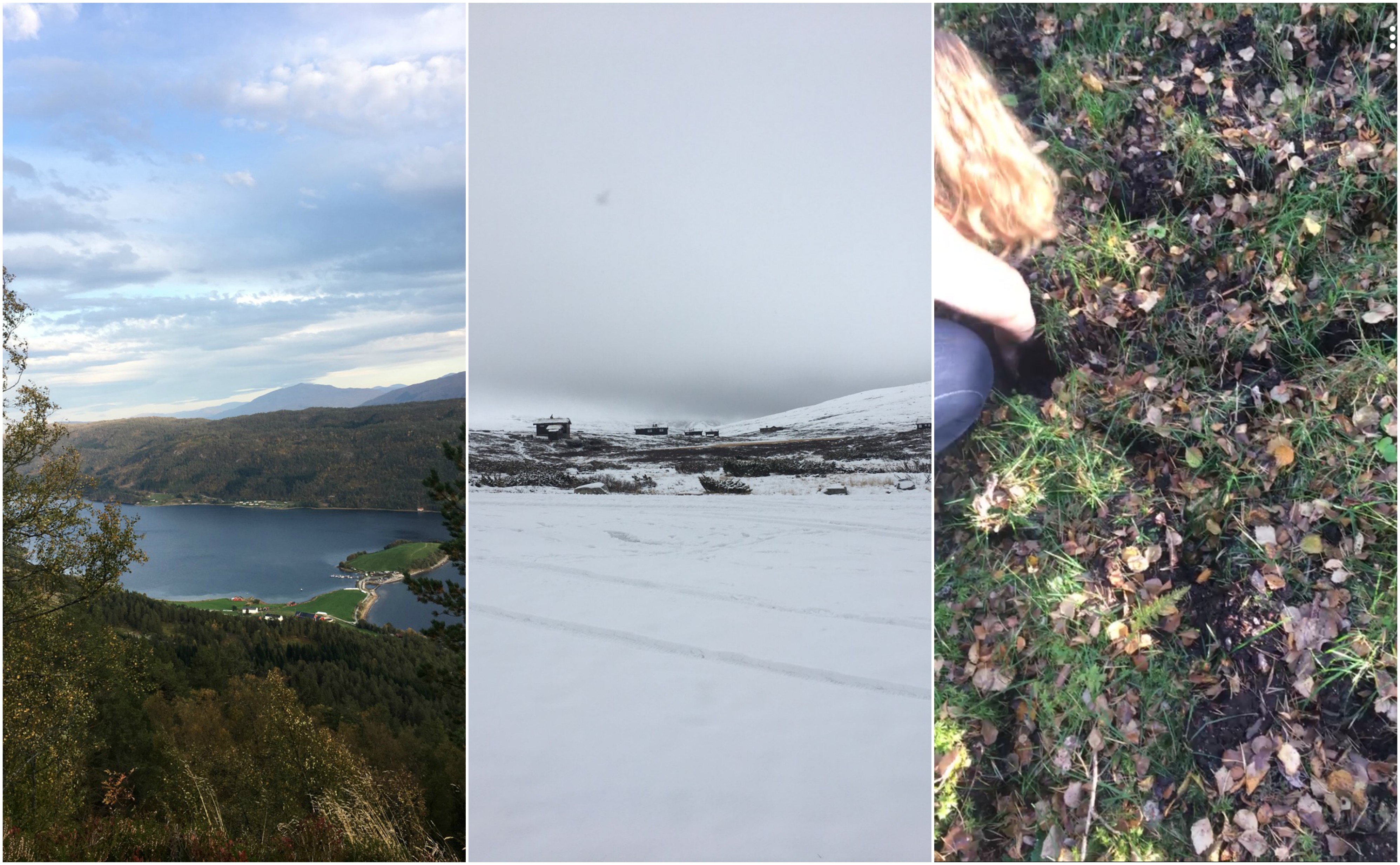 Dytt.no - Norges største arrangør av aktivitetskonkurranser!